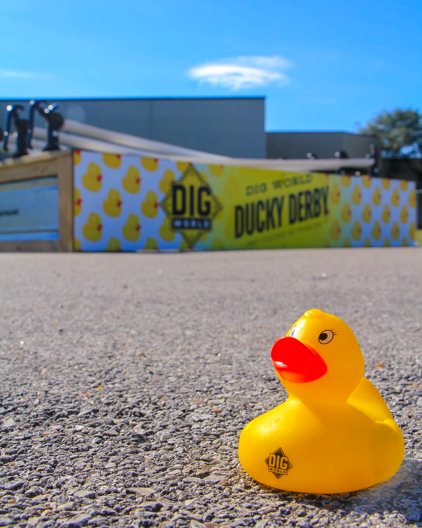 Katy Park Map & Attractions | Dig World